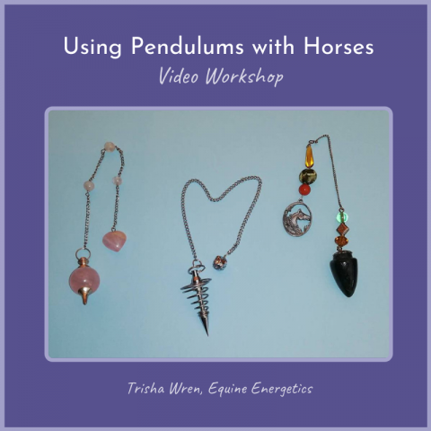 Using Pendulums With Pets | Trisha Wren, Equine Energetics
